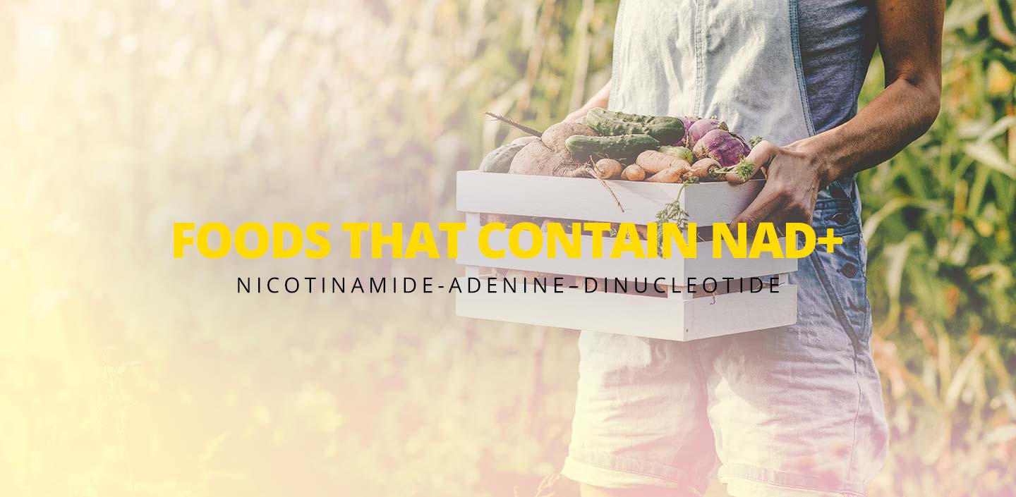 Foods Rich in NAD+, The Complete List 2023